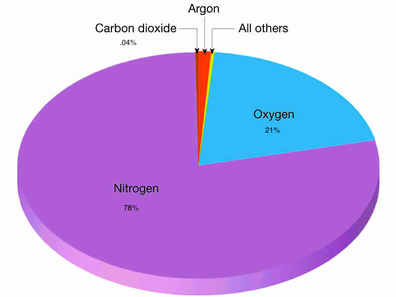 Atmosphere Composition And Basic Nutrient Cycles RajRAS RAS Exam 